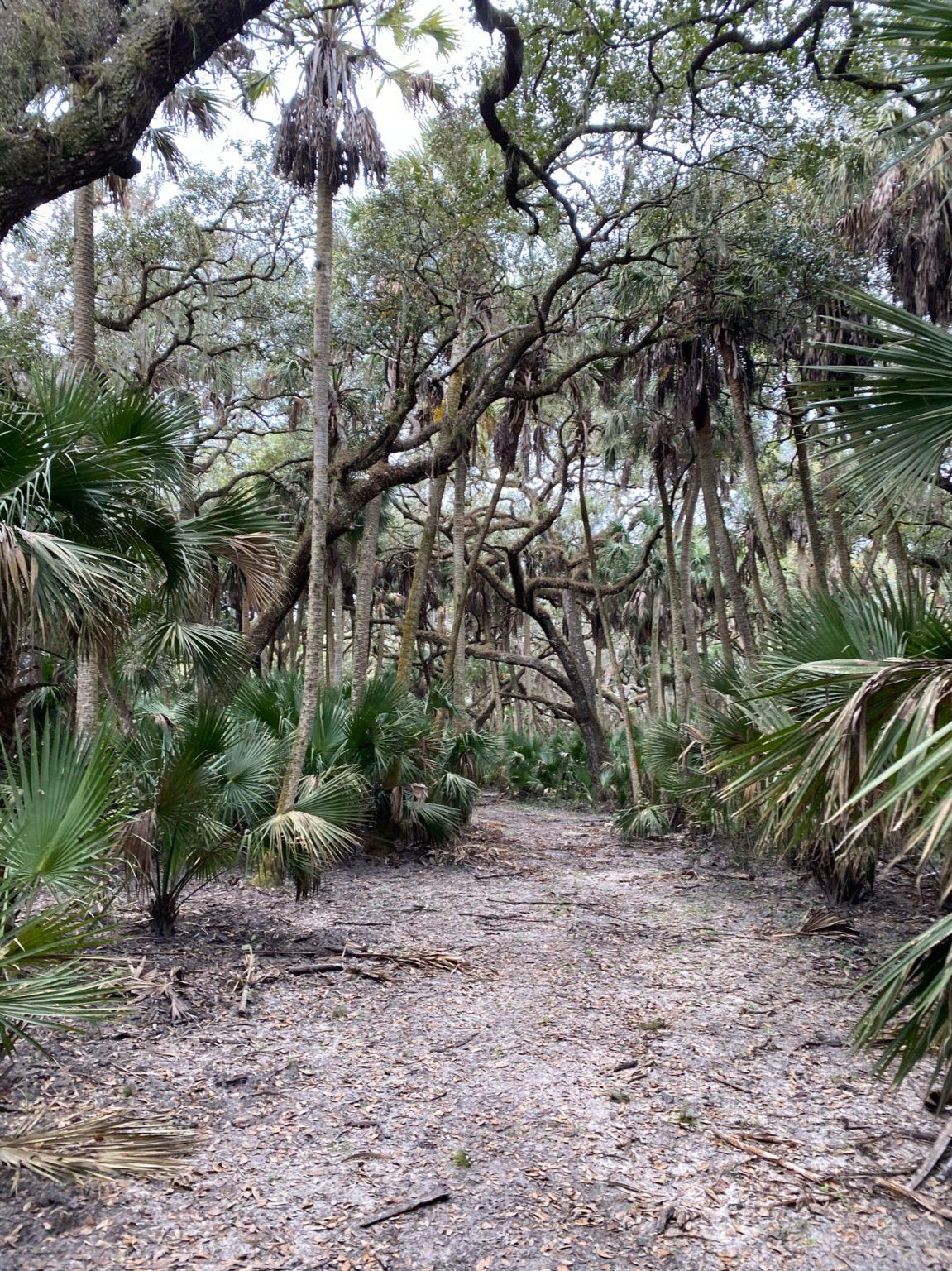 The Florida Trail by Region – Florida Trail Association